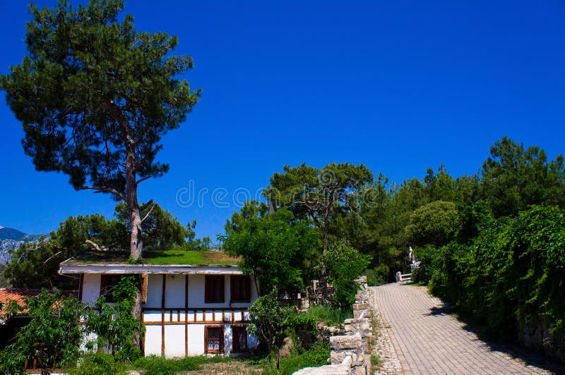 Hotel in forest stock image. Image of season, building - 25566763