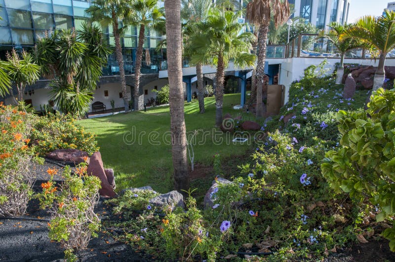 Hotel garden stock photo. Image of botanical, green, gardening - 37821338