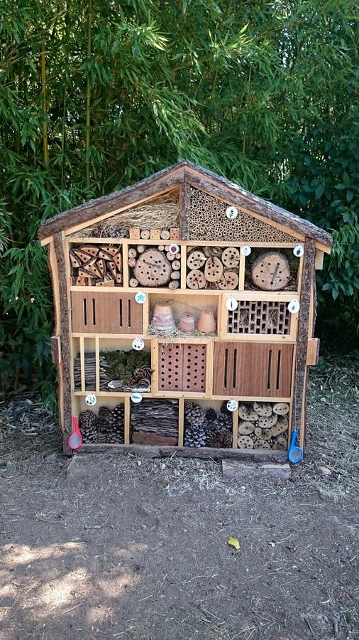 Hotel for insects stock photo. Image of ecological, inects - 77199384