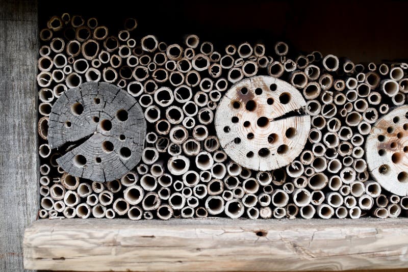 Hotel Insects are Made Up of Several Different Sections, Made from ...