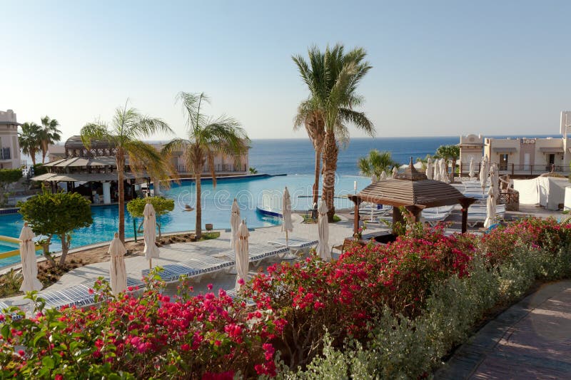 Hotel pool in Egypt stock image. Image of recreational - 31082957
