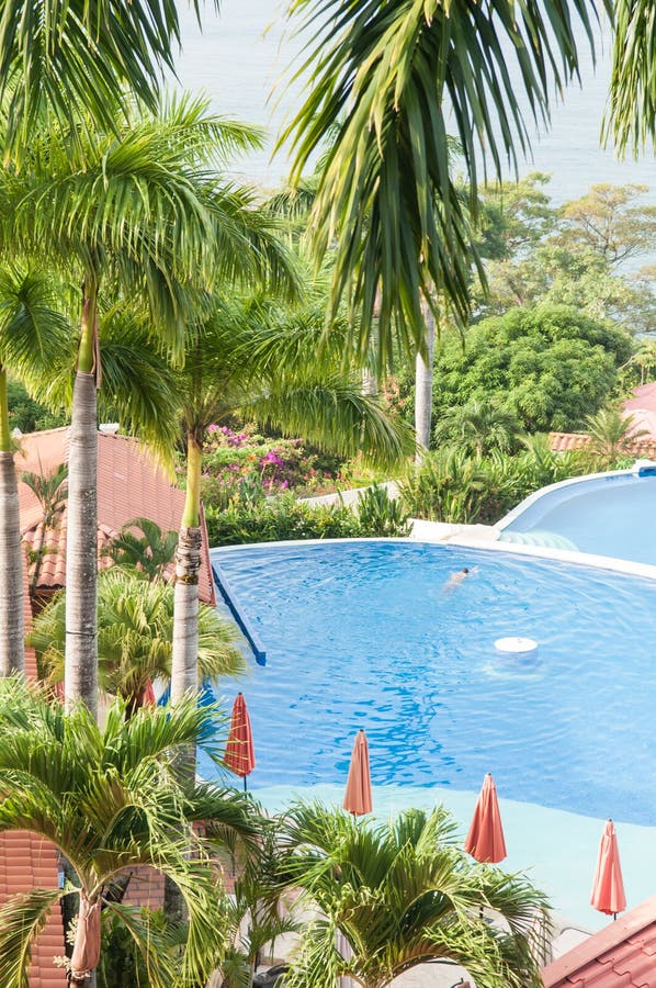 Hotel pool stock photo. Image of pool, deep, tree, round - 44331766