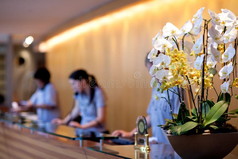 Hotel reception stock photo. Image of style, contemporary - 31842754