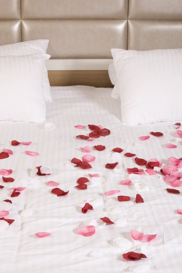 Hotel Room with Big Bed and Red Stock Photo - Image of color, domestic ...