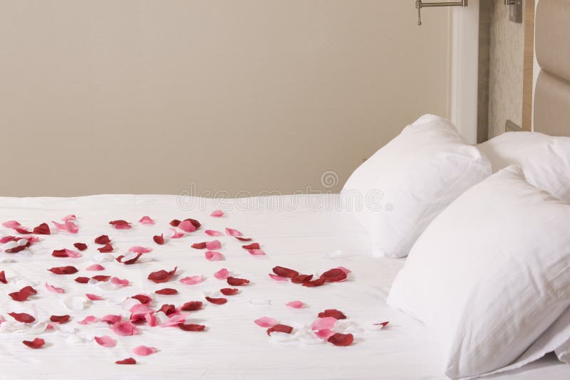 Hotel room stock photo. Image of blanket, apartment, flowers - 33320946