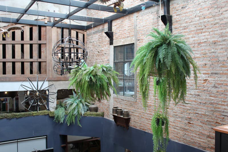 Hotel S Ceiling is Decorated by Ferns Stock Image - Image of botanical ...