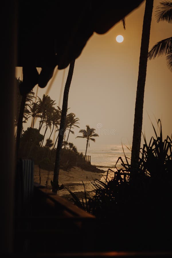Hotel Sunset View Madiha Beach Stock Photo - Image of beach, palm ...