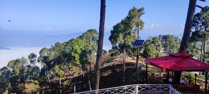 Hotel view stock photo. Image of flower, view, nature - 297810480