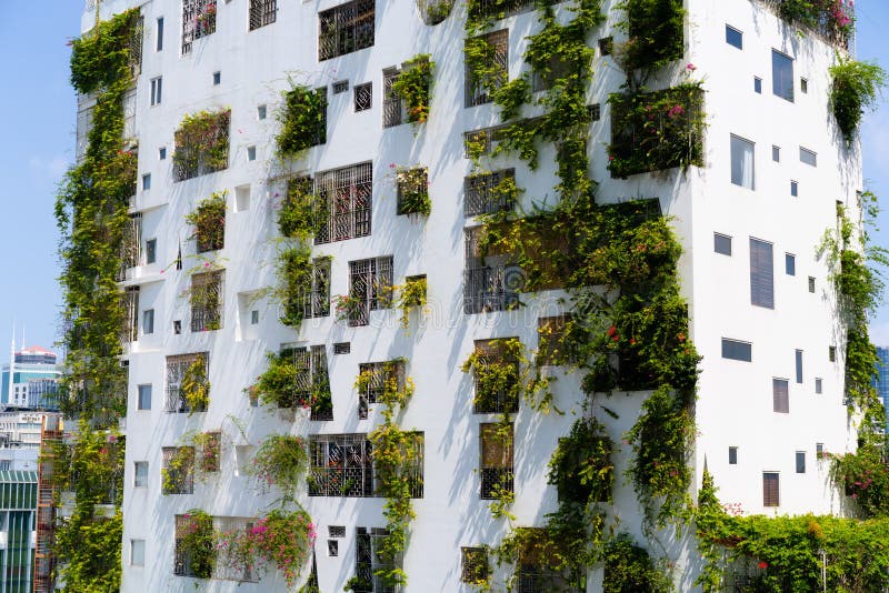 Hotel Wall and Windows Covered in Leafs. Stock Photo - Image of ...