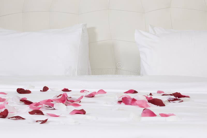 Hotelruimte Met Groot Bed En Rood Stock Foto - Image of beddegoed, luxe ...