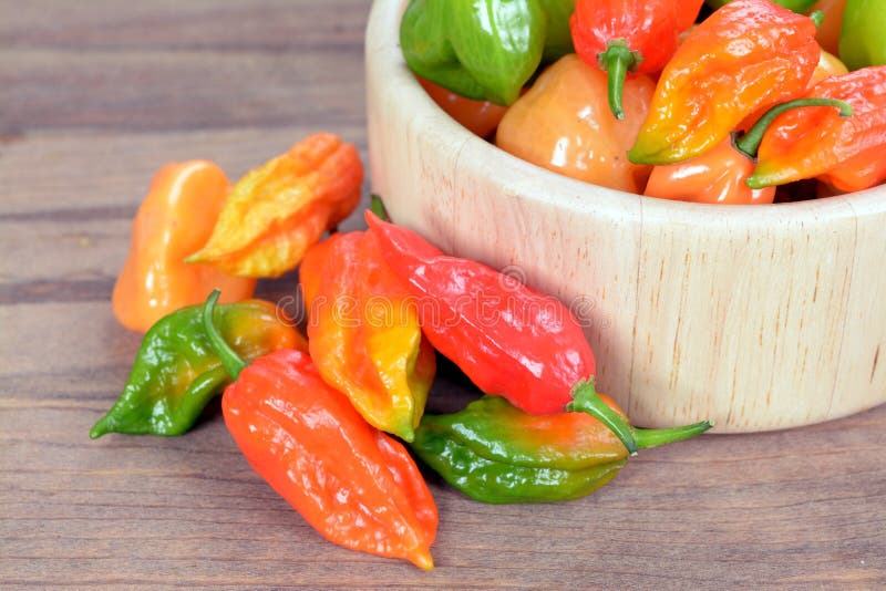 Hottest pepper stock photo. Image of chile, hottest, pepper - 77668256
