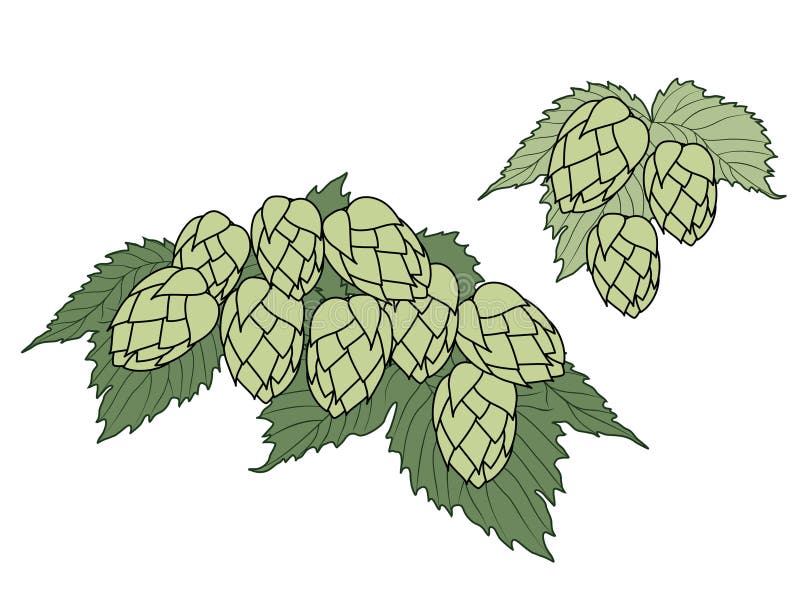 Icône De Houblon En Cônes Dans Le Style Plat Illustration de Vecteur ...