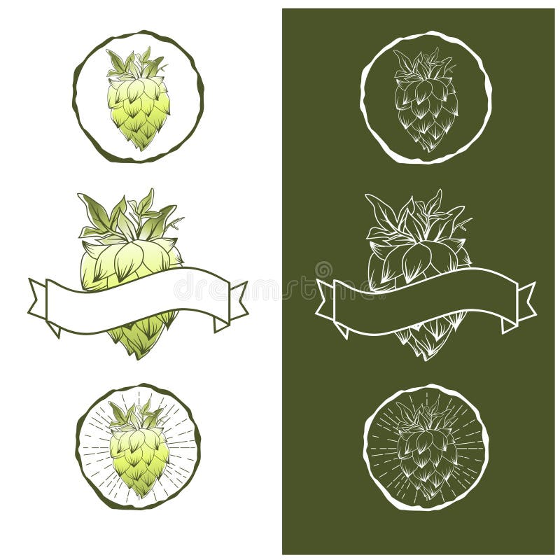 Houblon Logo Design Set illustration de vecteur. Illustration du objet ...