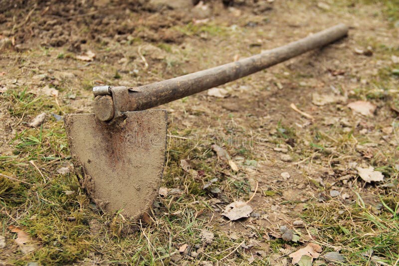 Houe Photos Stock - Téléchargez 9,190 Photos libres de droits