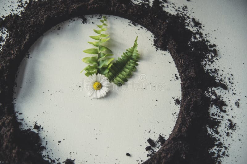 Hour for the Earth Close Up Stock Photo - Image of background, planet ...