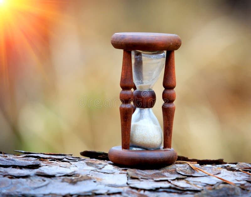 Hourglass Wooden Log Surface Stock Photos - Free & Royalty-Free Stock ...