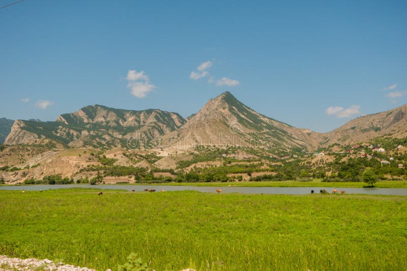 Lake and Hourse in Caucasus Stock Photo - Image of river, bright: 143974124