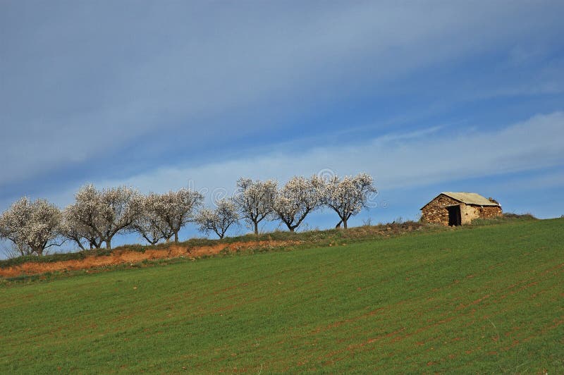 The House of the Almond-trees Stock Image - Image of almonds, house ...