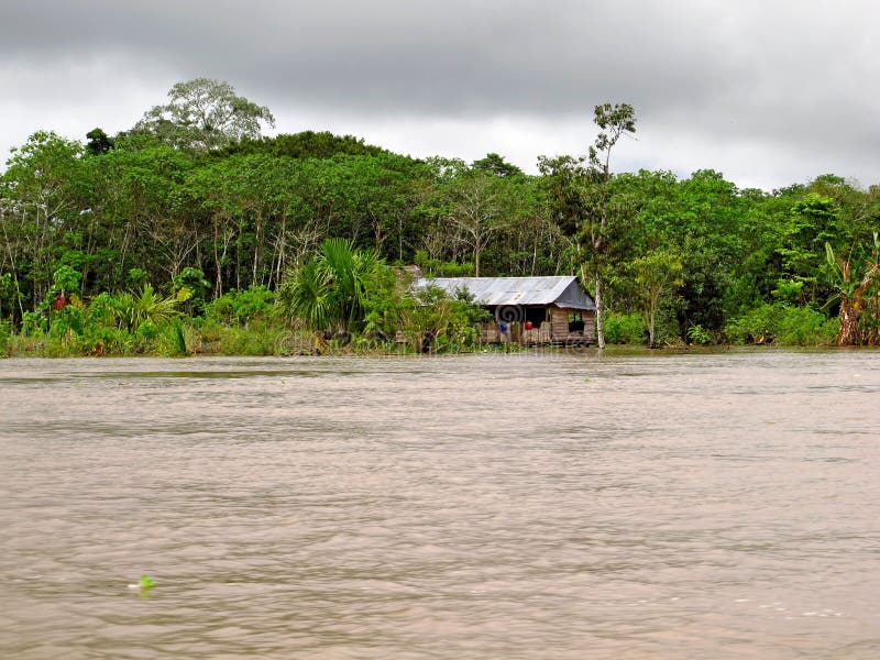 The House in Amazon River in Peru, South America Stock Image - Image of ...