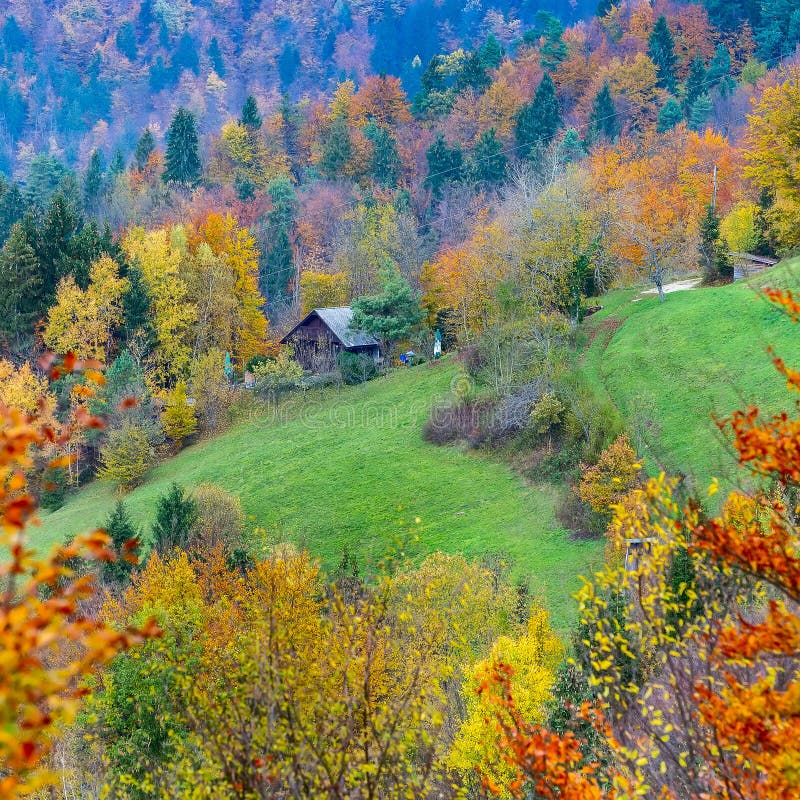 House in Autumn Forest and Mountains Stock Image - Image of estate ...