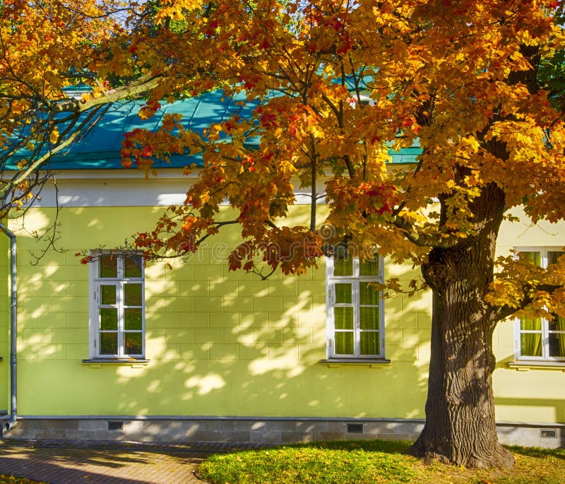 House in autumn stock photo. Image of leaf, nature, foliage - 58383104