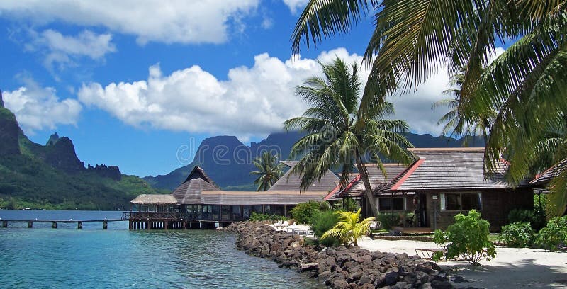 House with a Beautiful View Stock Photo - Image of roof, palm: 7633592
