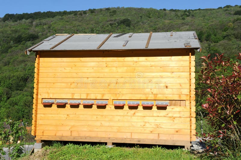 House for beekeeping stock photo. Image of melittology - 71619668