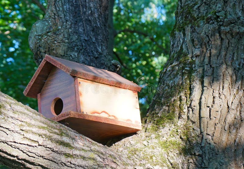 The House for Birds is Set on a Tree Trunk in the Park Stock Photo ...