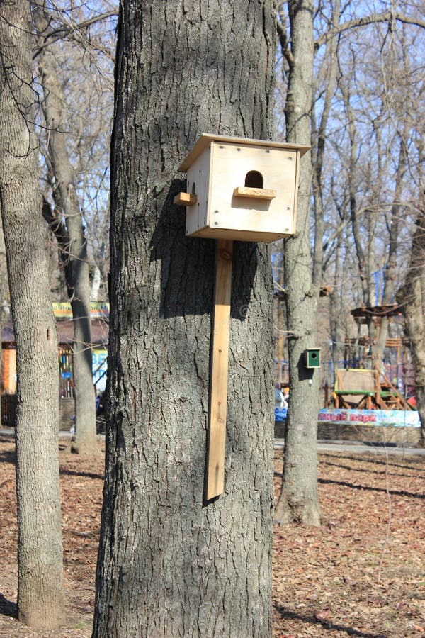 House for birds stock photo. Image of locks, birds, sunny - 88409318