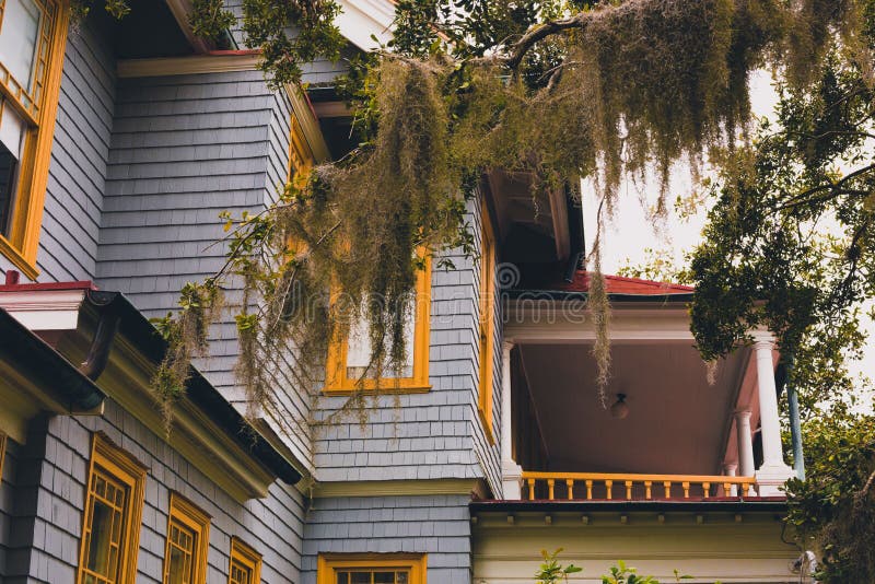 House Building Facade Behind Tree Branches in Jekyll Island Stock Photo ...