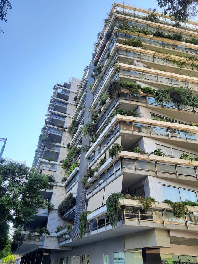 House Building Green Tree stock photo. Image of tower - 257192904