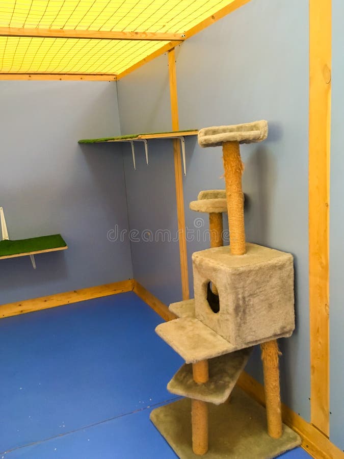 The House for Cats in the Zoo.cat House with Scratching Post. Cozy ...