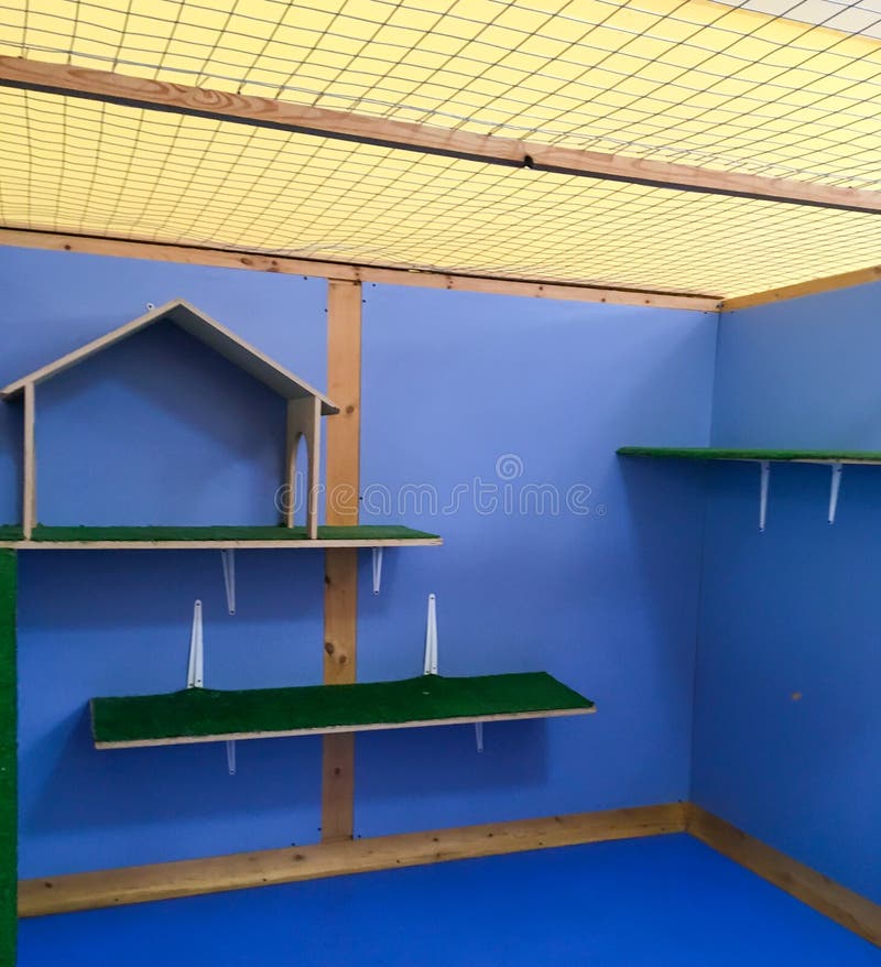 The House for Cats in the Zoo.cat House with Scratching Post. Cozy ...