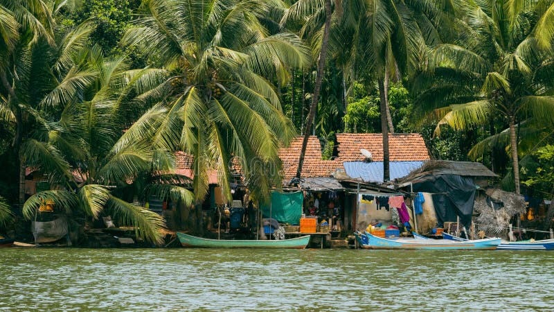 A House between Coconut Trees and Boats in Front of Their Home Stock ...