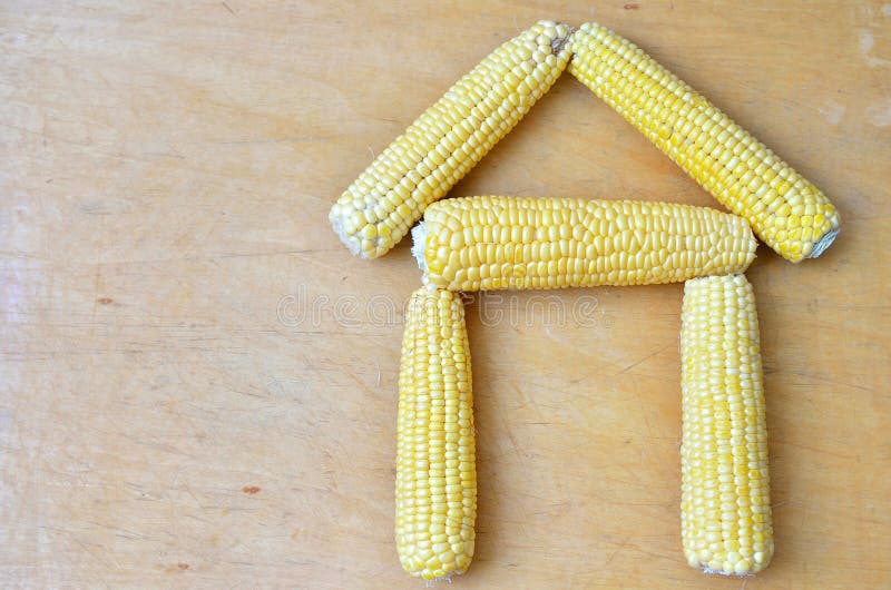 House concept stock image. Image of food, table, diet - 33262287