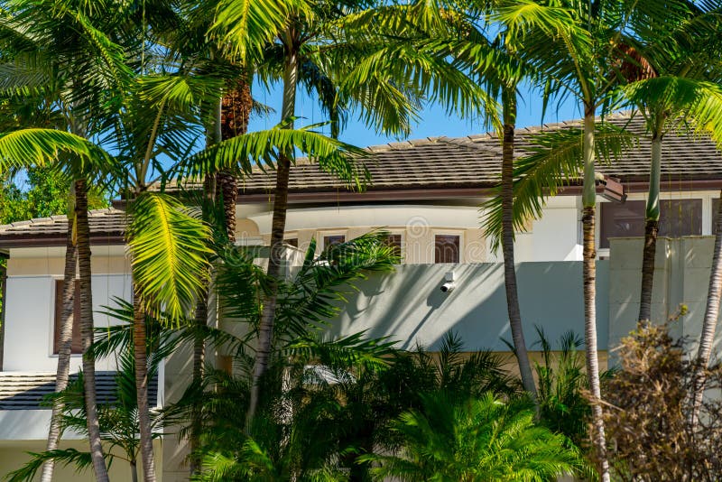 House Covered with Palm Tree Shade Stock Image - Image of florida ...