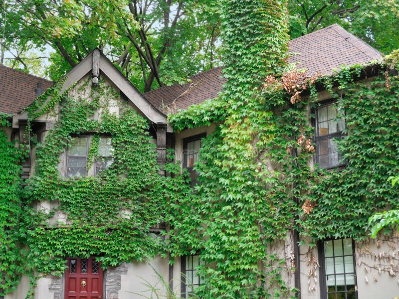 Vine Covered Stucco House Stock Photos - Free & Royalty-Free Stock ...