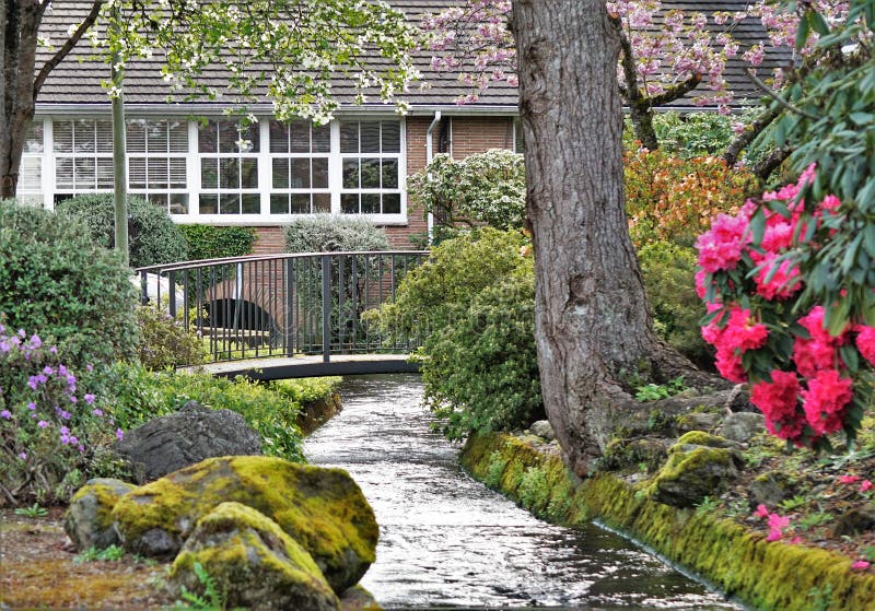 House by the creek stock photo. Image of purple, garden - 69868634