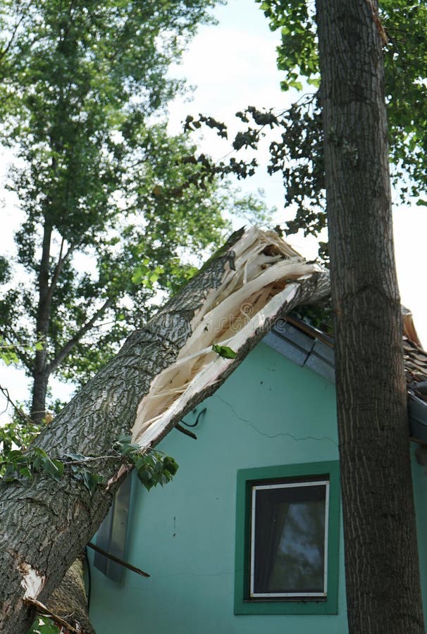 A House Damaged by Hurricane Novi Sad, Serbia - Fallen Tree in Front ...