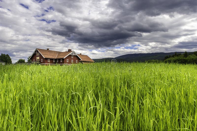 House on Dramatic Field stock photo. Image of country - 32957226