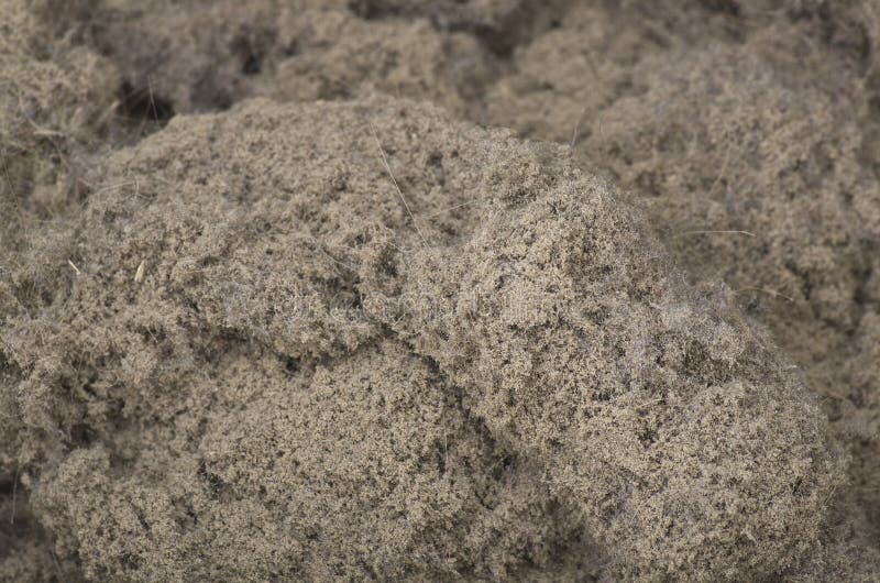 House dust stock photo. Image of cleaner, dust, healthy - 29608738