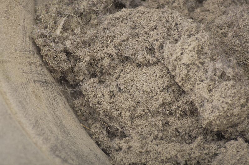 House dust stock photo. Image of curls, group, vacuum - 29608752