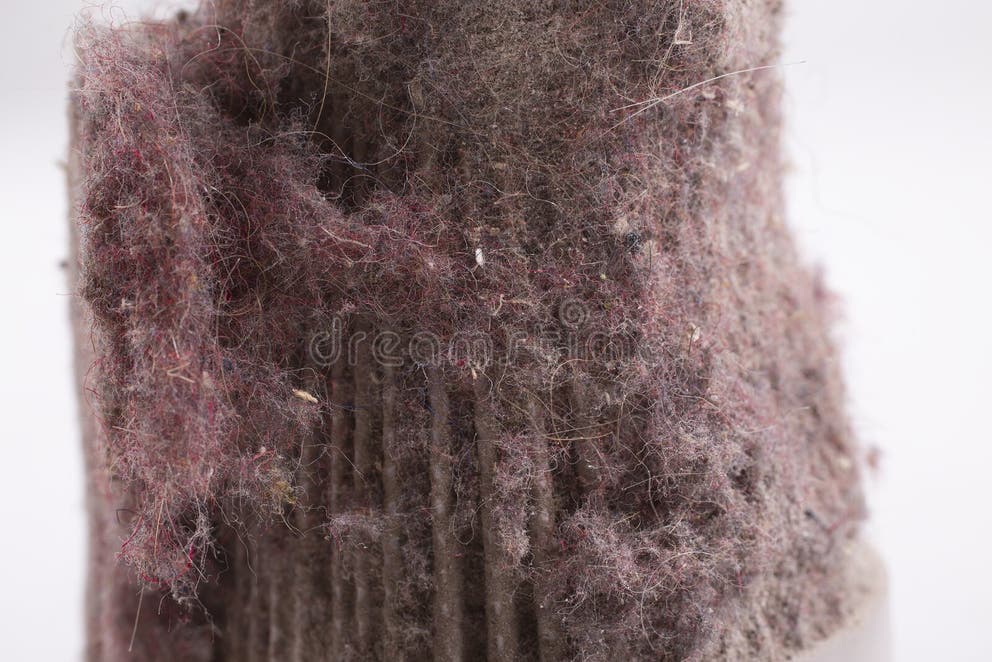 House dust stock photo. Image of cleanup, fiber, harmful - 57308588