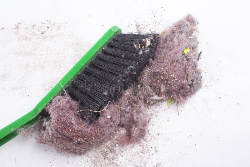 House dust stock image. Image of dirt, health, house - 57308823