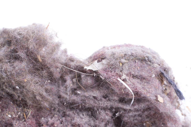 House dust stock image. Image of household, hygiene, disposable - 57308217