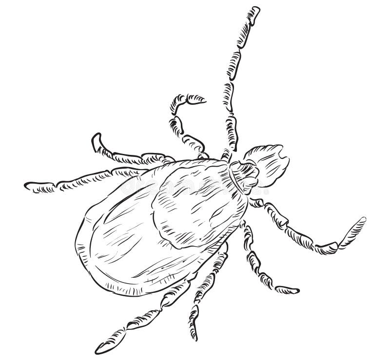 Mite detailed stock illustration. Illustration of render - 23706569