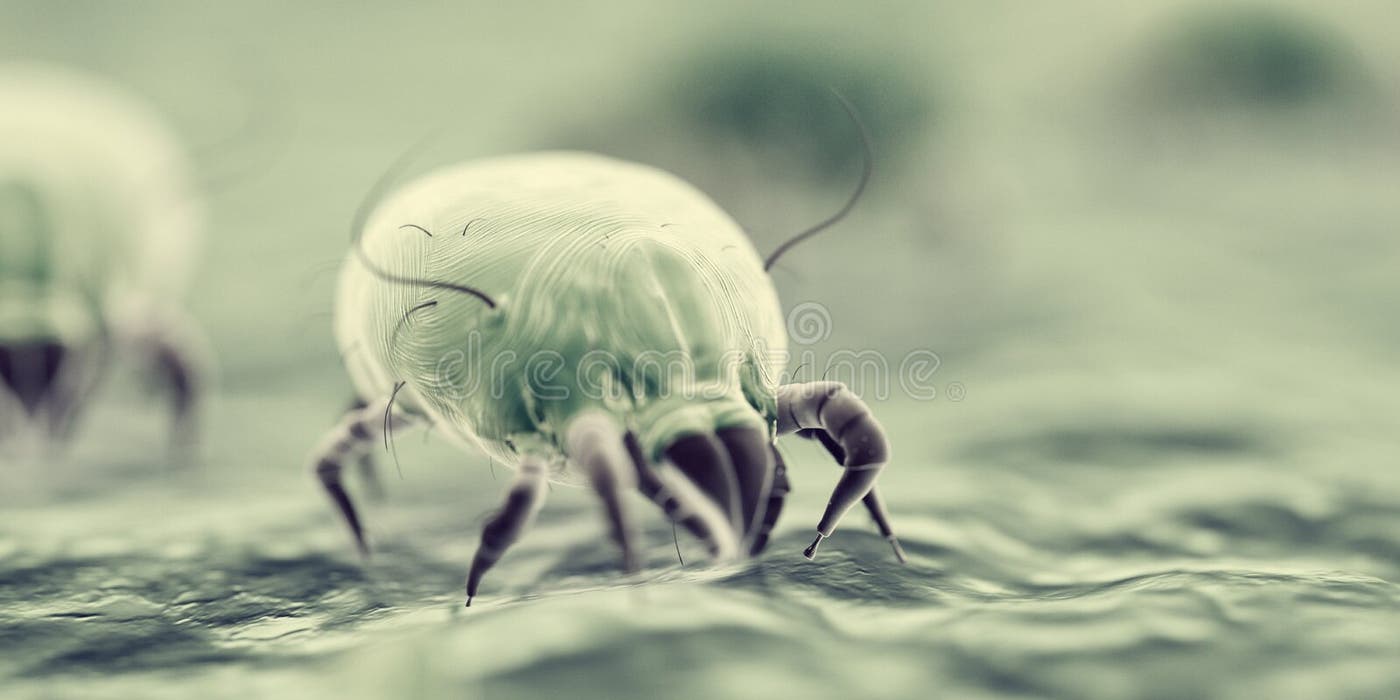 Illustration Dust Mites Stock Illustrations – 340 Illustration Dust ...