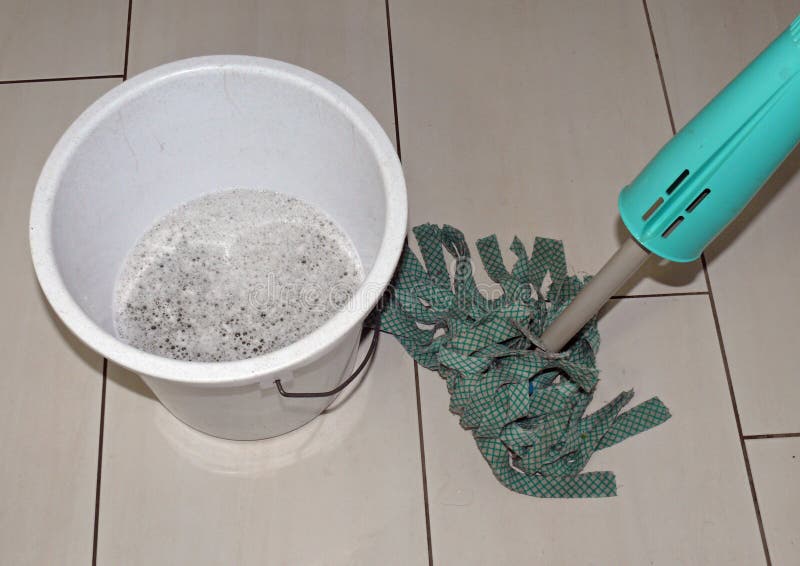 House dust mites stock photo. Image of house, unhygienically - 36739820