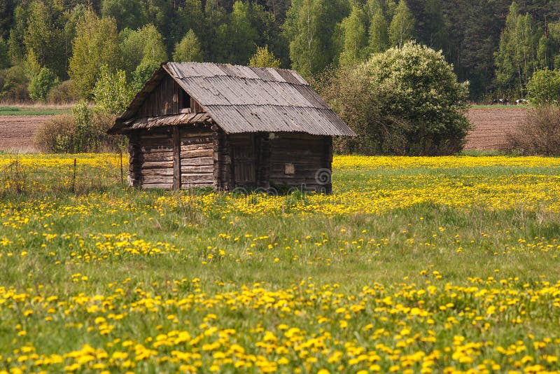House in Field stock photo. Image of country, horizontal - 50574164