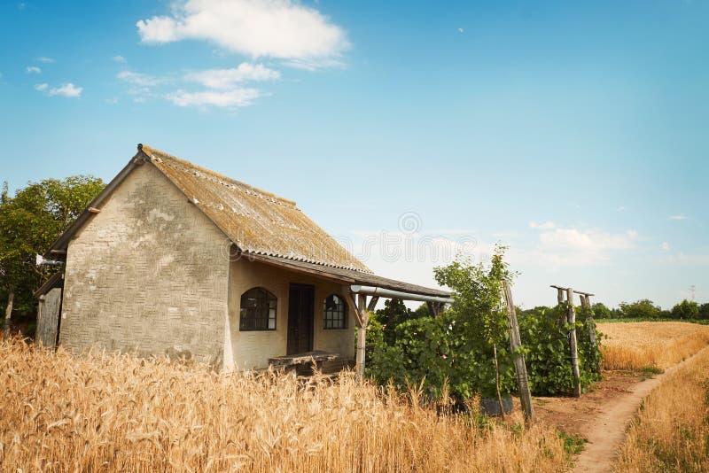 House on field stock photo. Image of farmland, family - 56722134